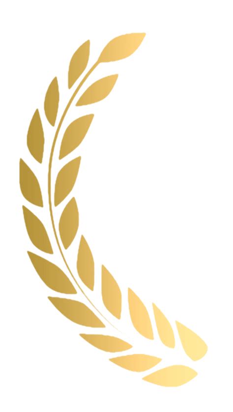 Salesforce Consulting Company Hic Global Solutions