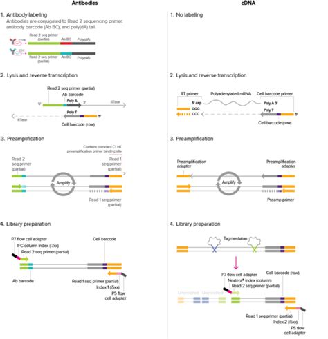 Fluidigm Introduces REAP Seq For Multi Omic Single Cell Analysis On The