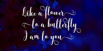 Melinda Script Font Webfont Desktop MyFonts