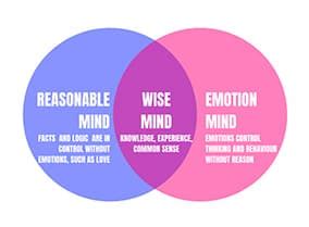 Using DBT Skills And Principles In Clinical Practice