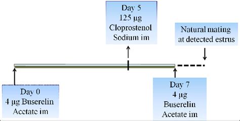 Ovsynch Estrus Synchronization Protocol Consisting Of Gnrh Pgf 2 α Gnrh Download Scientific