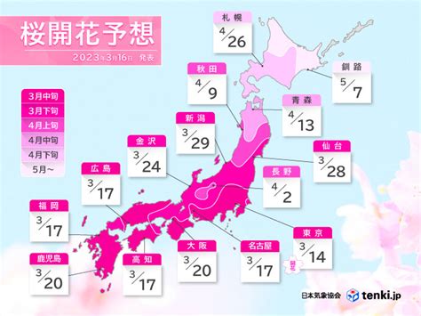 2023年桜開花予想 第5回 来週にかけて桜開花ラッシュ 東京は23日満開予想 気象予報士 石榑 亜紀子 2023年03月16日 日本気象協会 Tenki Jp