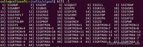 学习笔记linux4 信号linux Signal 4 Sigill Csdn博客