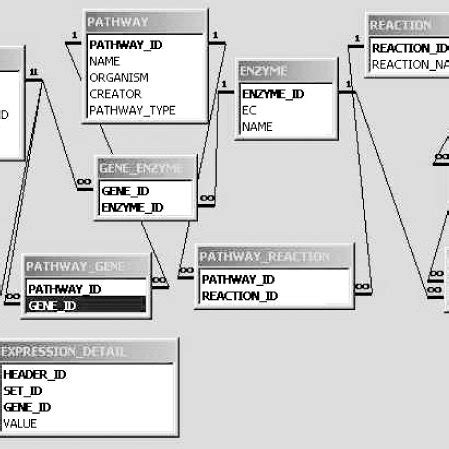 The Database Sub Schema For Biological Data This Is A Fairly Standard Download Scientific