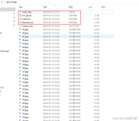 Paddleocr训练自己模型（1） 数据准备 Csdn博客