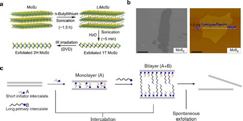 Chemical Exfoliation Methods Of Tmdcs A Scheme Of Lithium Insertion