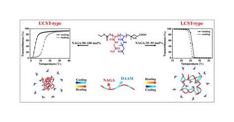 Ucst Or Lcst Composition Dependent Thermoresponsive Behavior Of Polyn Acryloylglycinamide Co