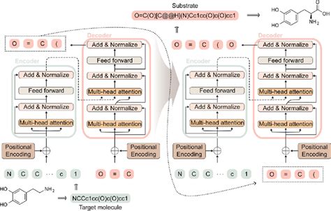 Template Free Approaches For Retrobiosynthesis Using Transformer Based Download Scientific