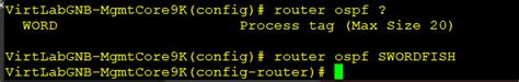 What Is Process Id In Ospf What Is Its Exact Use And Benefit
