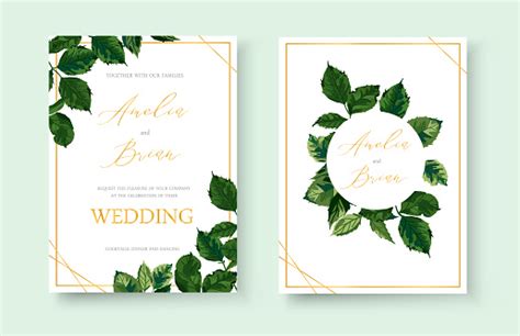 스톡 벡터 웨딩 초대 꽃 초대 감사 Rsvp 현대 카드 디자인 녹색 열대 야자수 잎 1005706003 0명에 대한 스톡 벡터 아트 및 기타 이미지 Istock