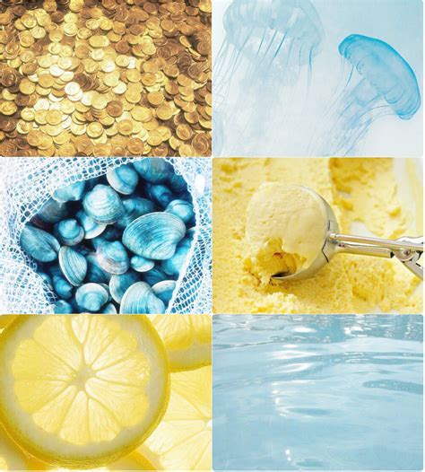 Just Another Mermaid On Tumblr