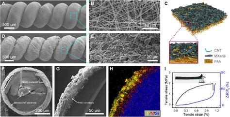 Preparation And Characterization Of The Artificial Neuromuscular Fiber Download Scientific