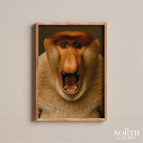 Posterart Screaming Proboscis Monkey Print Close Up Open Mouth Animal
