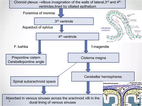 Csf Analysis Anupaam PPTX