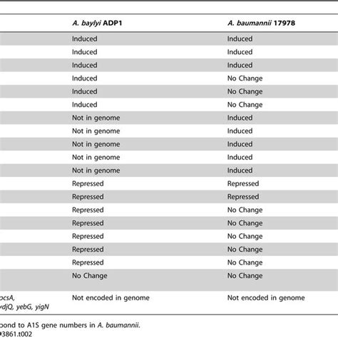 Regulation And Presence Of Canonical Sos Genes In Acinetobacter Species