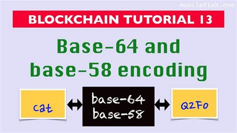 Blockchain Tutorial 13 Base 64 And Base 58 Encoding Watchv Vw7bhqsjyfk