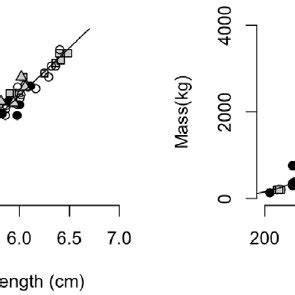 Mass At Length On A Log Left Plot And Linear Right Plot Scale For Download Scientific