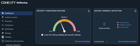 Cohesity Netbackup 110 Protecting Data From The Cyber Threats Of