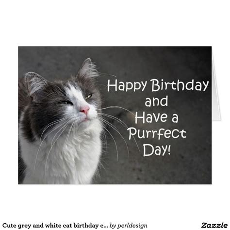 Cute Grey And White Cat Birthday Card Zazzle Grey And White Cat