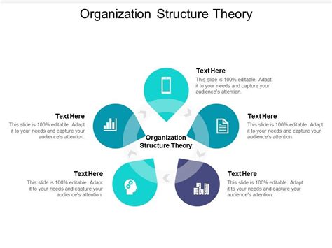 Organization Structure Theory Ppt Powerpoint Presentation Summary Show Cpb