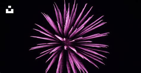 보라색 불꽃놀이 사진 Unsplash의 무료 폭발 이미지
