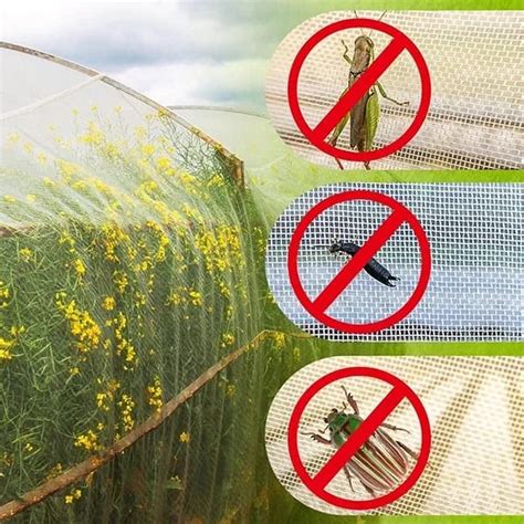 Jual Jaring Kasa Putih Insect Net Per Meter Lebar 3 Meter Shopee Indonesia