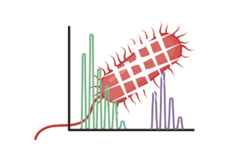 GitHub Schulze Lab Schulze Lab Website GitHub Repository For The Website Of The Schulze Lab