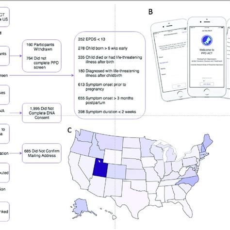 Ppd Act Participant Flow And Geographic Distribution In The Us A Download Scientific Diagram