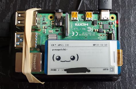 Pi4 With Waveshare V3 Finally Up And Running R Pwnagotchi