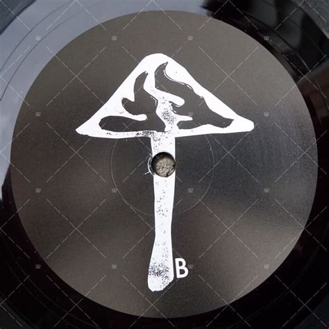 Alpha Steppa Dub Kingdom Lp