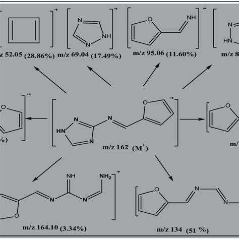 Scheme 3 Proposed Mass Fragmentation Pattern Of The Ligand Fta Download Scientific Diagram