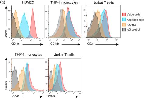 How To Use Flow Cytometry For Apoptosis Detection