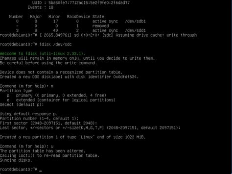 Linux Raid Networkbits