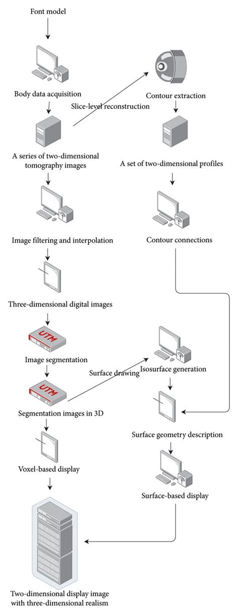 Three Dimensional Visualisation Flow Chart Download Scientific Diagram