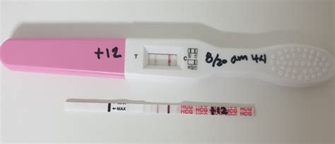 시험관2차 5일 배양 낮은 피검수치 후 더블링 네이버 블로그