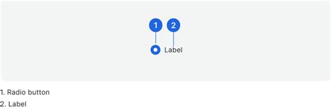 Radio Button