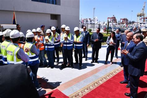 Aya El Feky Posted On Linkedin