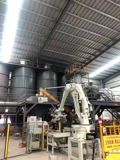 Tengyang Automatic Industrial Robot Arm Intelligent Palletizing High Speed And Palletizing