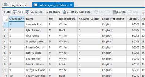 Protect Patient Data When Geocoding Documentation