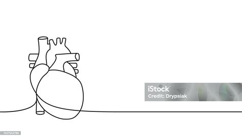 인간의 마음 한 줄 연속 그리기 인간 장기 연속 한 줄 그림 벡터 미니멀리스트 선형 일러스트레이션 선에 대한 스톡 벡터 아트 및 기타 이미지 Istock