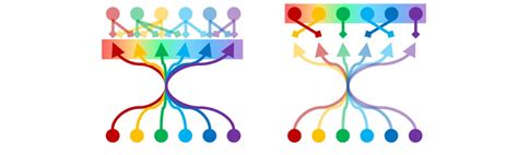 Scientifica Hyperscope Used For Mapping With Scientifica