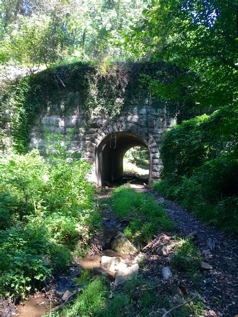 Given Enough Time Nature Reclaims All Album On Imgur