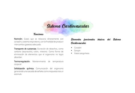 Sistema Cardiovascular Warning Tt Undefined Function 32 Warning Tt Undefined Function 3