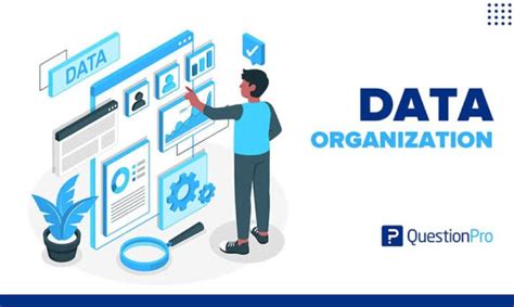 dataanalyst dataorganization datacleaning dataanalysis anozie