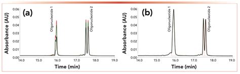 Analysis Of Sirna With Denaturing And Non Denaturing Ion Pair Reversed Phase Liquid