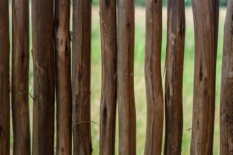 Tree Stick Texture Photos Download The Best Free Tree Stick Texture Tree Stick Texture Photos Download The Best Free Tree Stick Texture