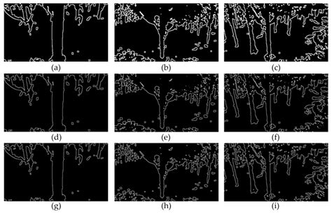 Image Gradient Process A C Basic Gradient Images D F External Download Scientific Diagram
