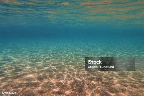 수중 전망 모래 바다 바닥 및 투명한 물 수중의 생명을 주는 햇빛 모래에 대한 스톡 사진 및 기타 이미지 모래 수중 0명 Istock
