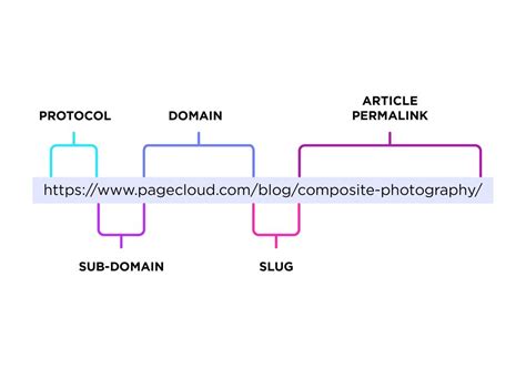 Web Terminology 101 What You Need To Know With Illustrations Pagecloud Blog Web Design
