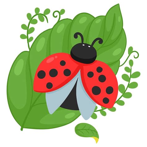 Ladybugs Cartoon Images Free Download On Freepik